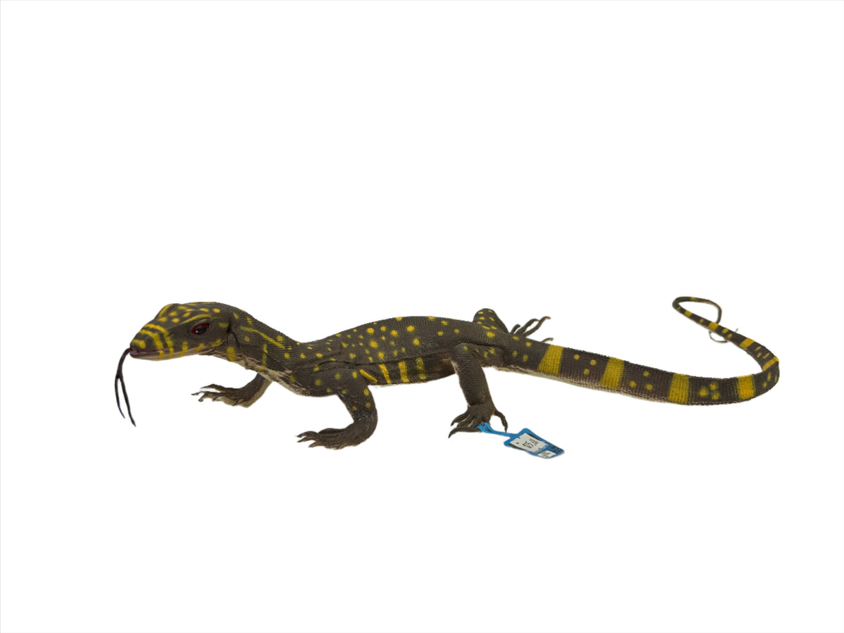 Baby Monitor Lizard 18" | MAJ22200 | Mamejo – ProTinkerToys.com