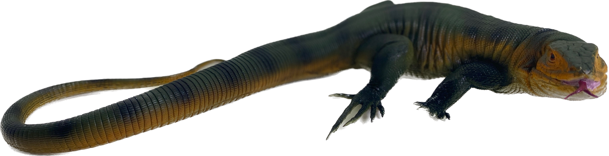 Large Green Tegus 20" | MAJ22250 | Mamejo – ProTinkerToys.com