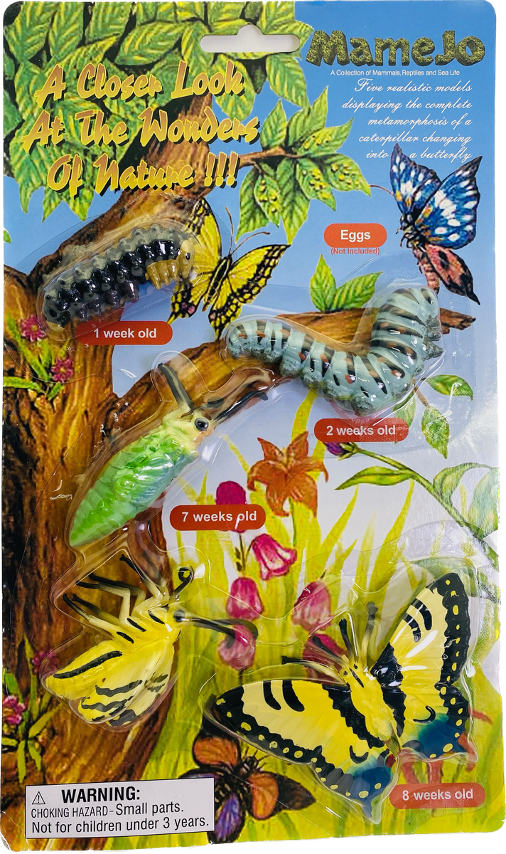 Monarch Butterfly Metamorphosis Set | MAJ12830 | Mamejo – ProTinkerToys.com